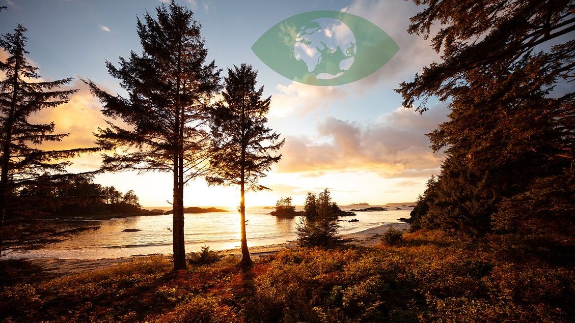 Pacific Northwest Tribes Lead Climate Adaptation Efforts Amid Funding ...