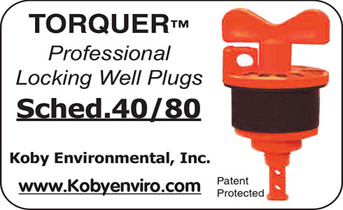 TORQUER PROFESSIONAL LOCKING WELL PLUGS
